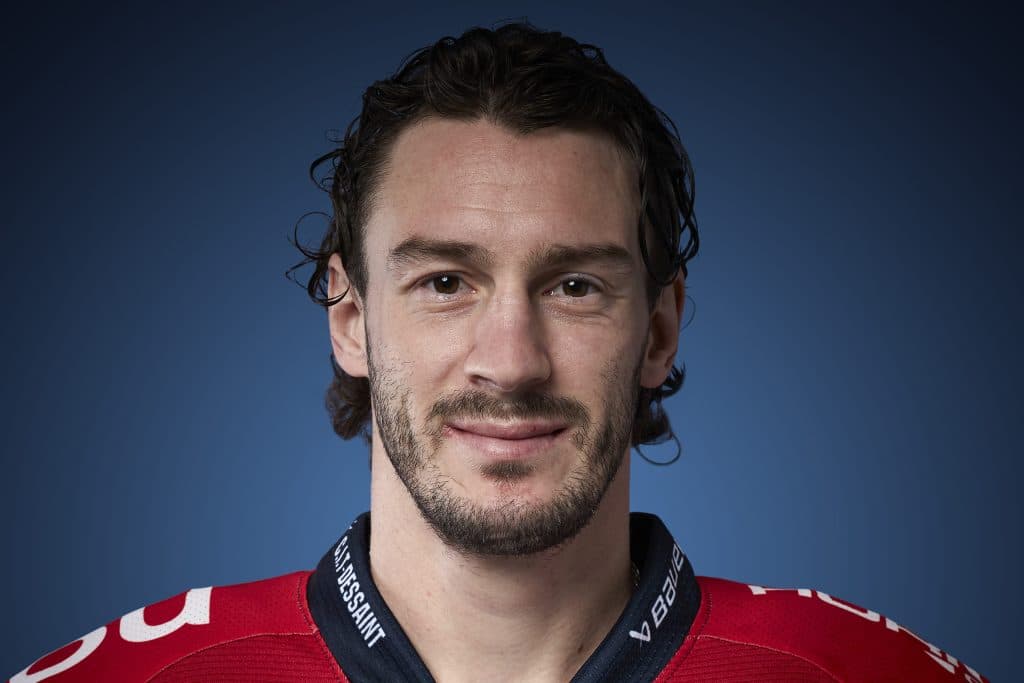 Philippe HALLEY - Les Ducs d'Angers