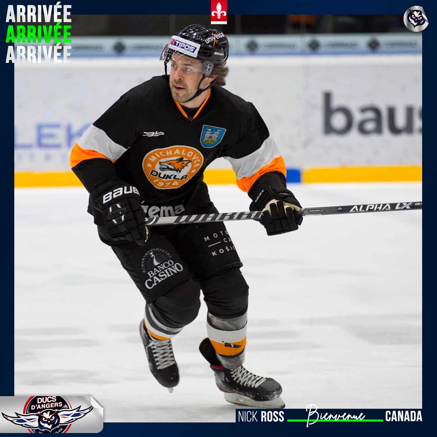 Arrivée de Nick ROSS chez les Ducs d'Angers - Les Ducs d'Angers